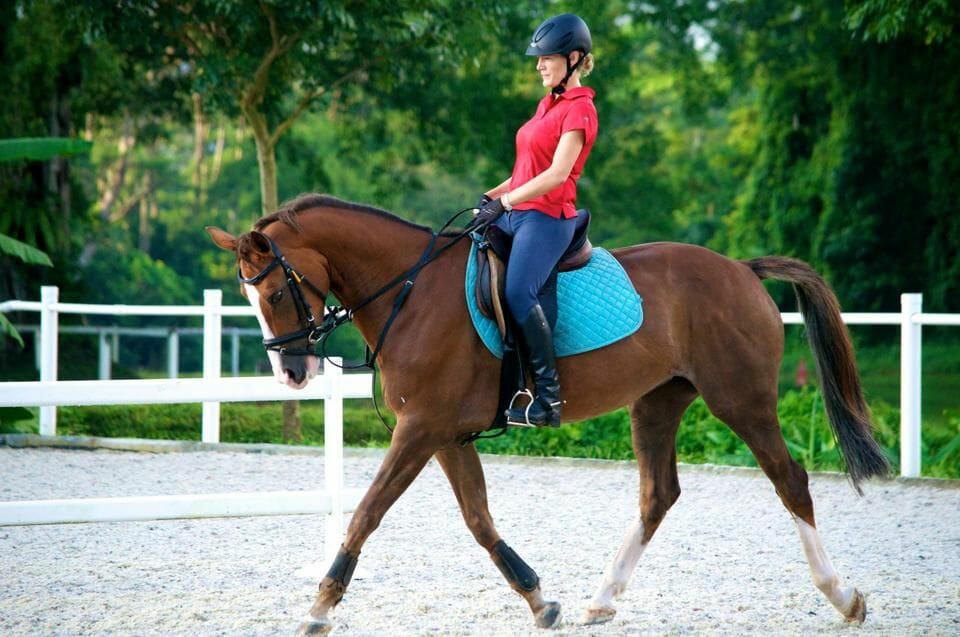 Horse riding in Singapore and Malaysia: The best stables