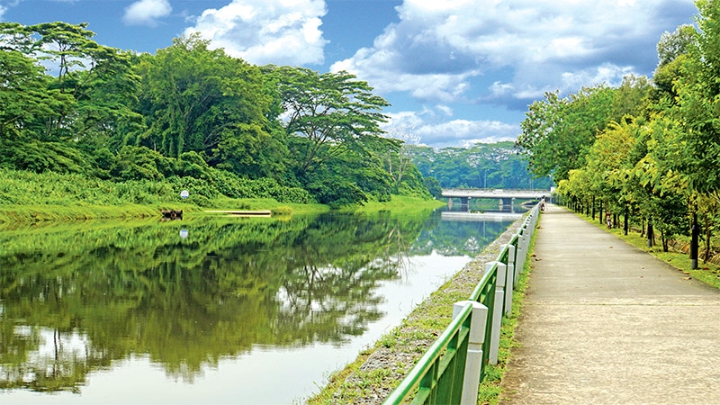 Springleaf Estate is simi kind of place ??? | Page 2 | HardwareZone Forums