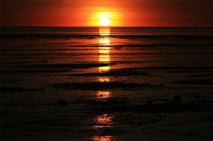 Top things to do in Broome: Kayaking, snorkeling & riding camels!