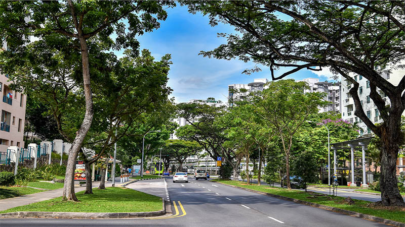 Where to live in Singapore: Living in Hillview, Bukit Timah