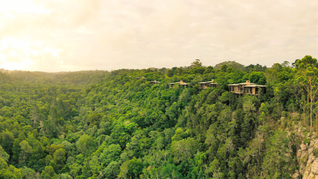 6 Things to See in South Africa - Whales, Penguins and the Big 5!