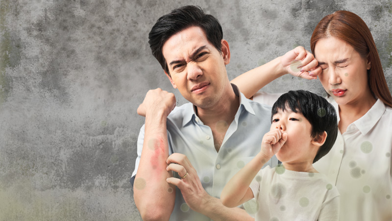 How to Choose the Right Mould Removal Service in Singapore
