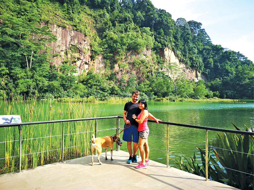 Bukit Timah Home near Green Corridor, Cashew MRT and Rail Mall