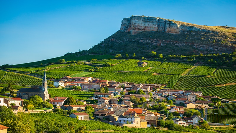 Yusheng Lo Hei Ingredients and What to Say